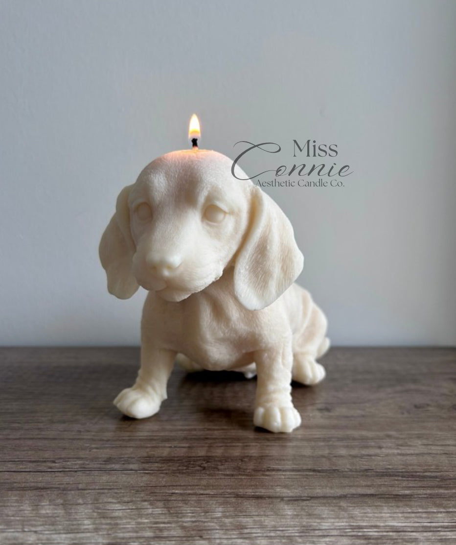 Dachshund Puppy Dog Candle – Miss Connie Candles